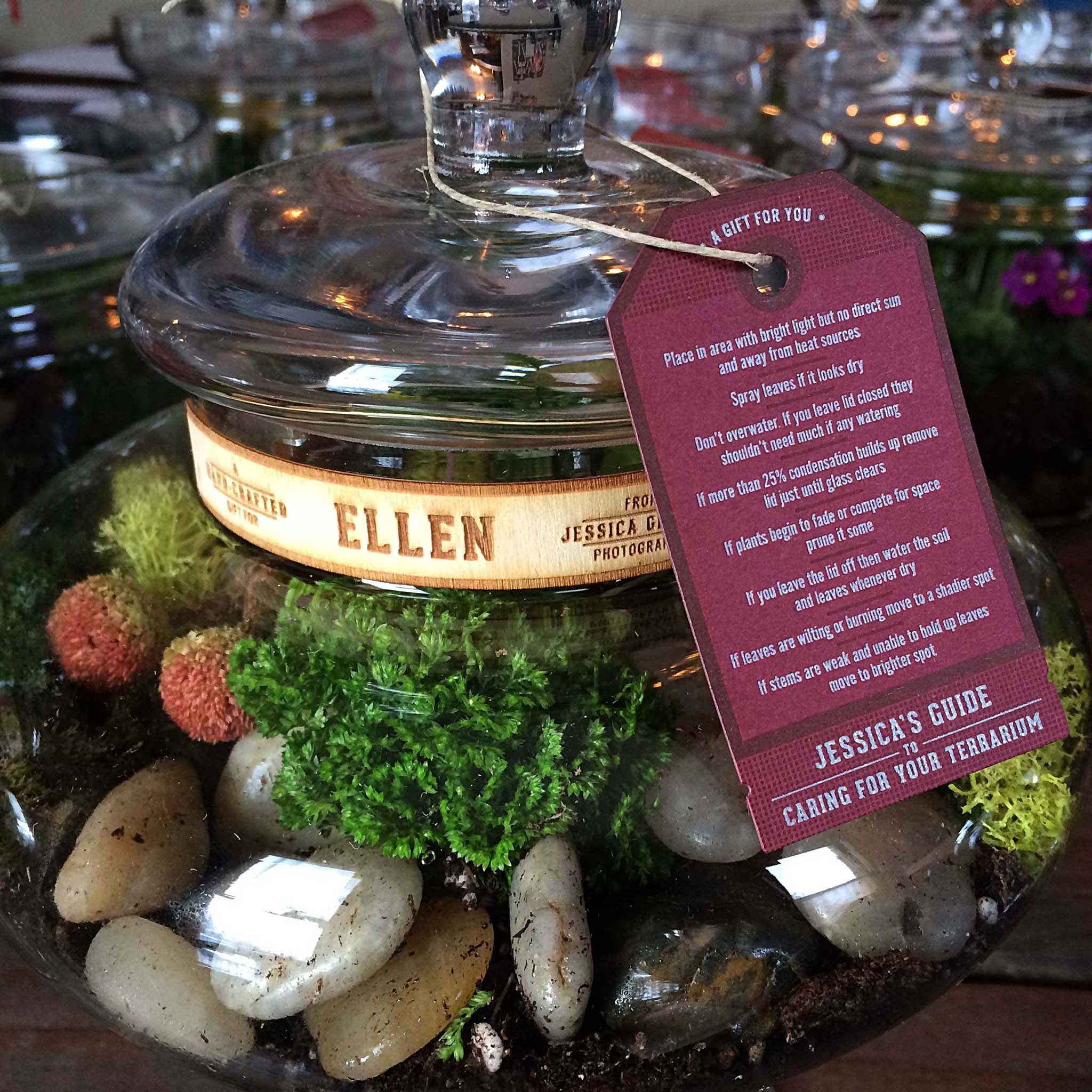 Live Terrarium Gift with Personalized Laser Labels | Method & Madness
